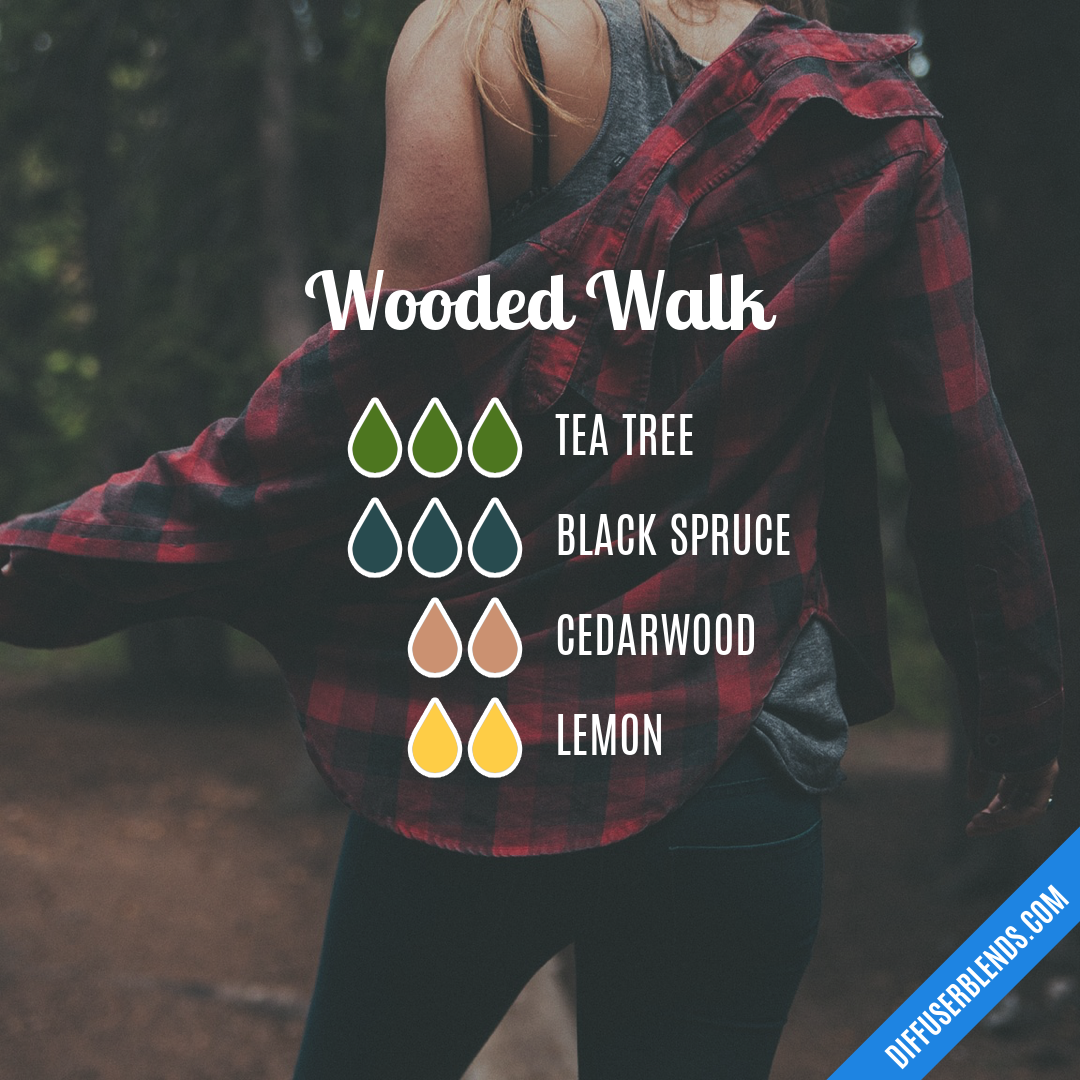 Wooded Walk | DiffuserBlends.com