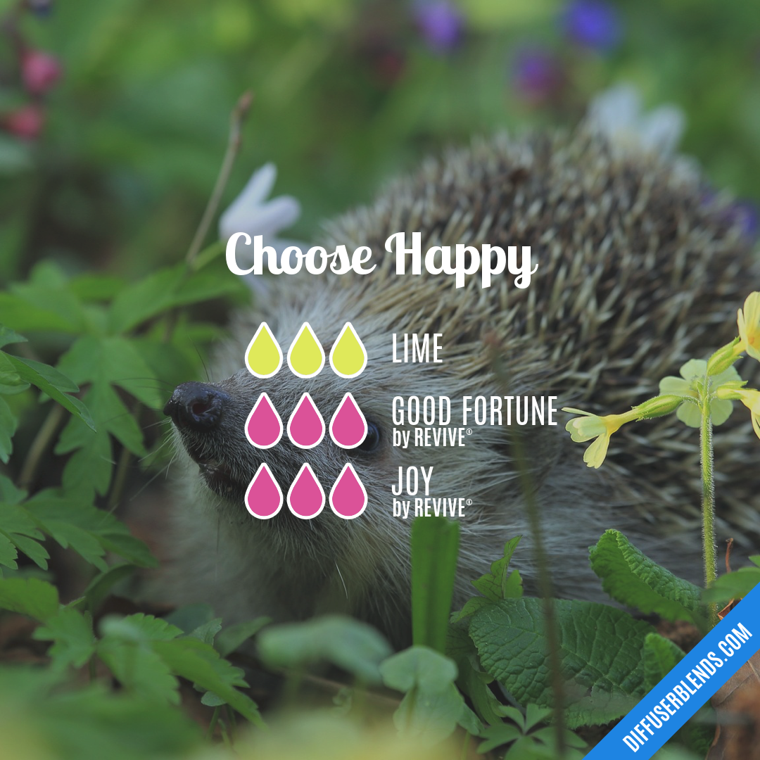 Choose Happy | DiffuserBlends.com