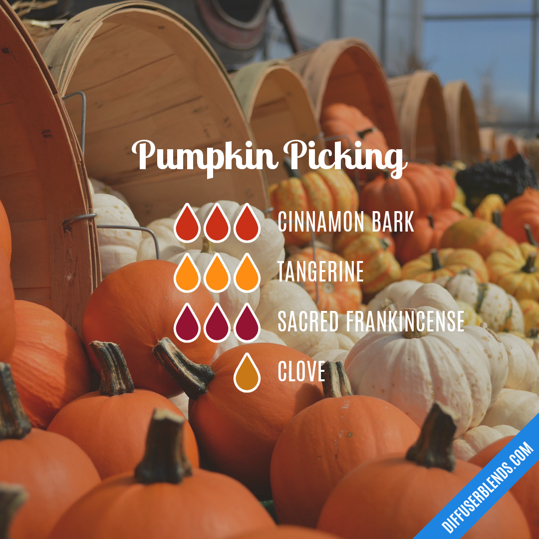 Pumpkin Picking | DiffuserBlends.com