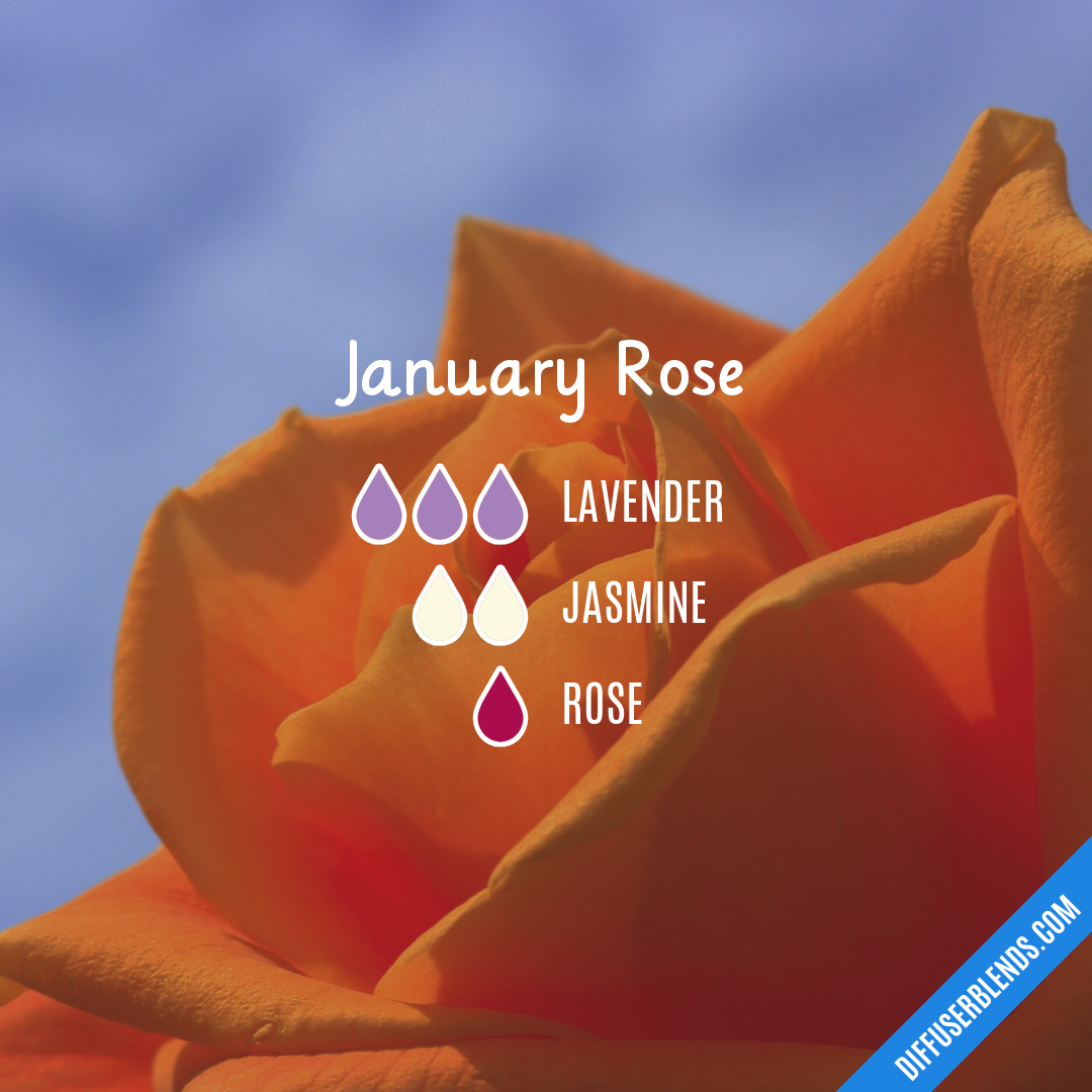 January Rose | DiffuserBlends.com