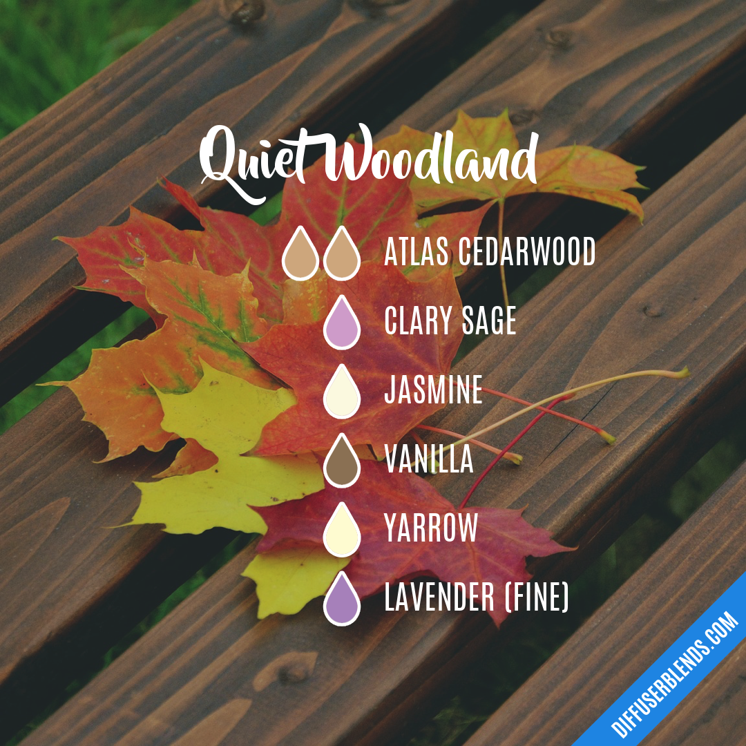 Quiet Woodland | DiffuserBlends.com