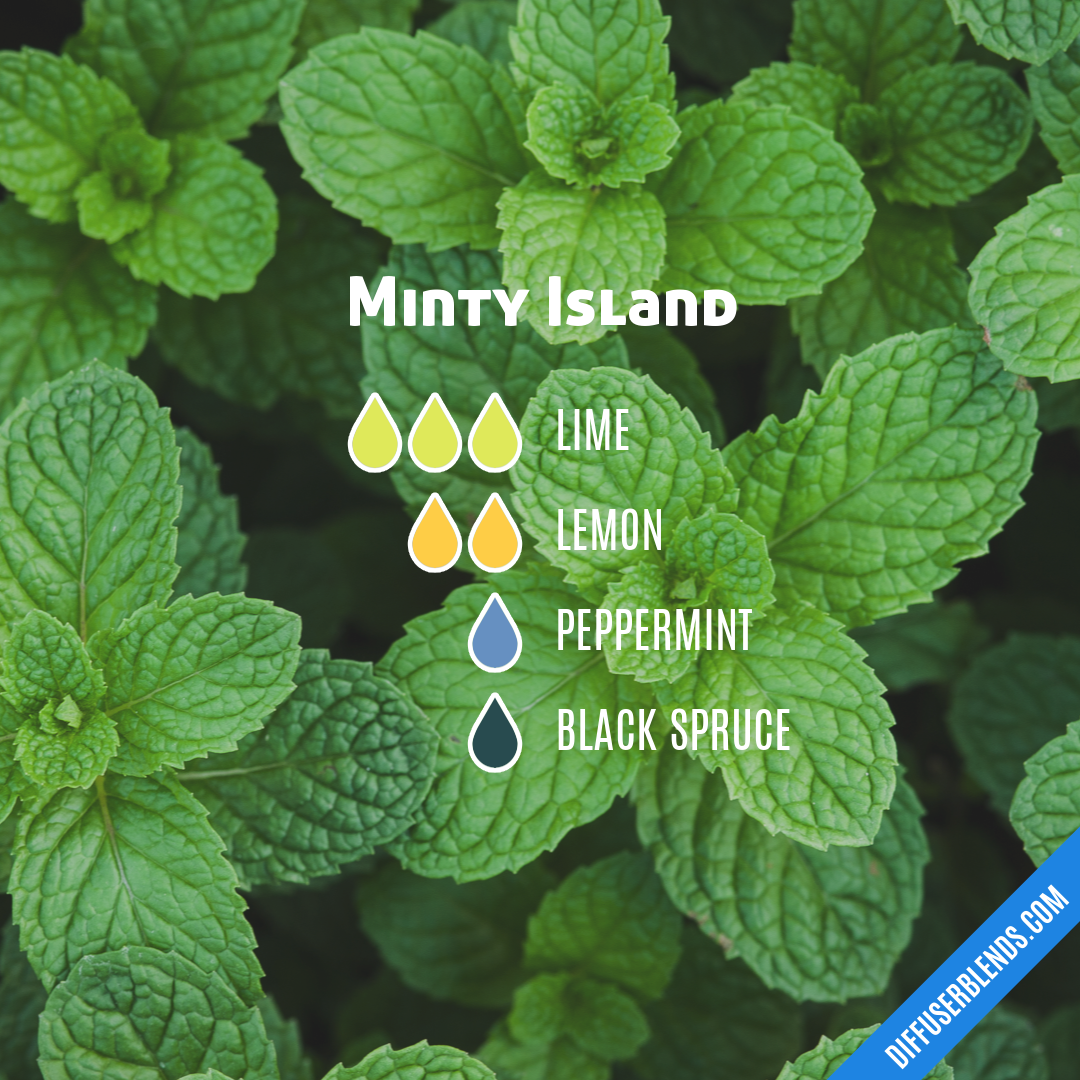 Minty Island | DiffuserBlends.com