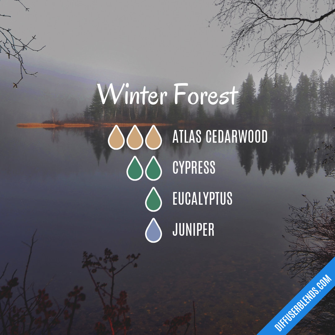 Winter Forest | DiffuserBlends.com