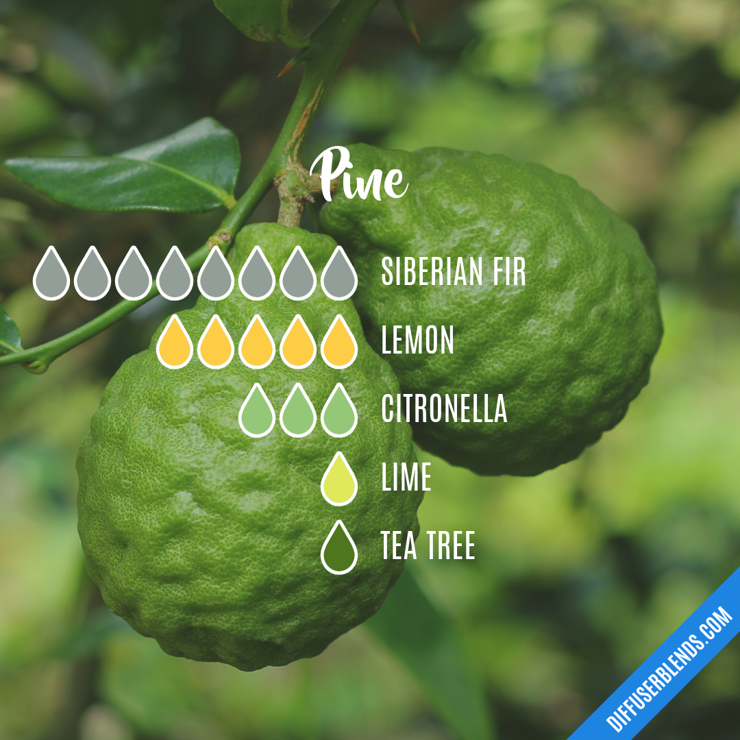 Pine | DiffuserBlends.com