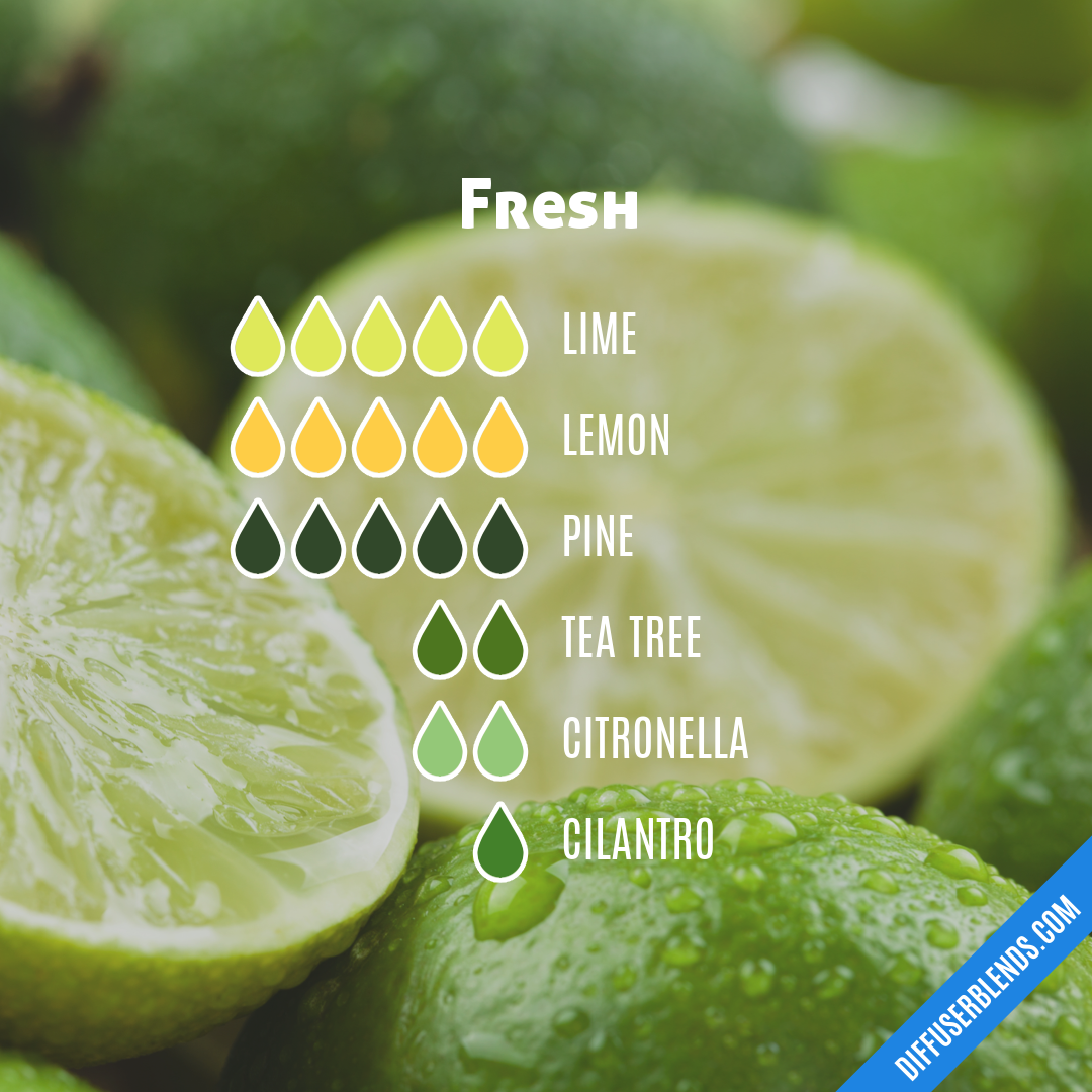 Fresh | DiffuserBlends.com