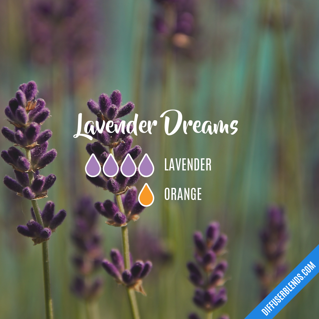 Lavender Dreams | DiffuserBlends.com