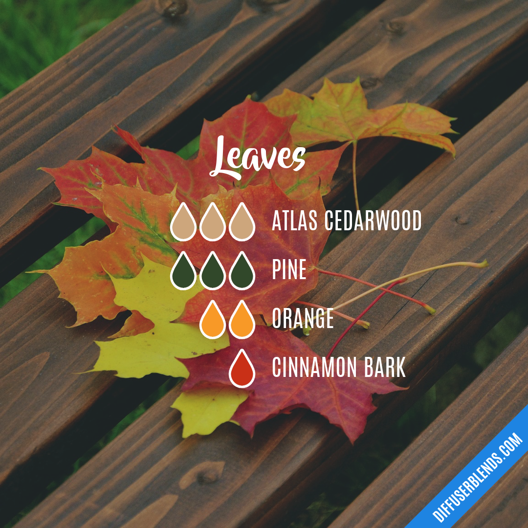 Leaves | DiffuserBlends.com