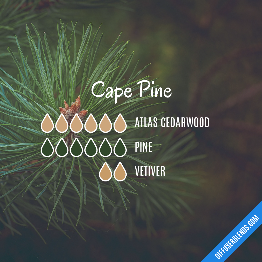 Cape Pine | DiffuserBlends.com