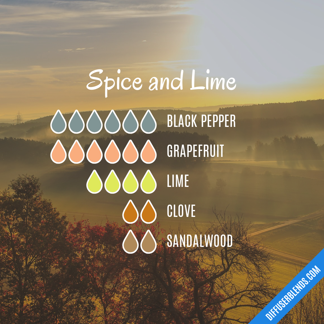 Spice and Lime | DiffuserBlends.com