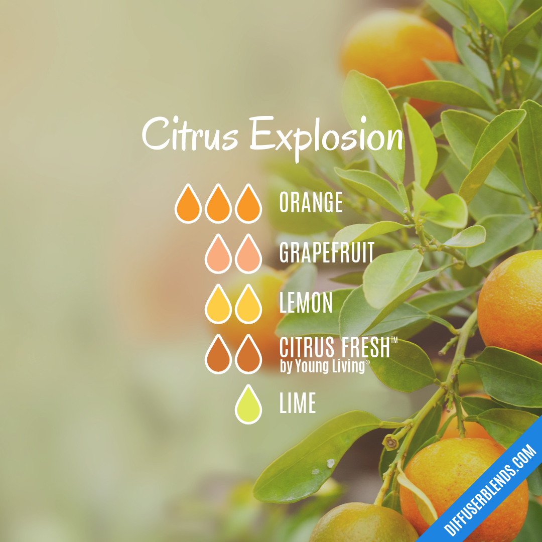 Citrus Explosion | DiffuserBlends.com