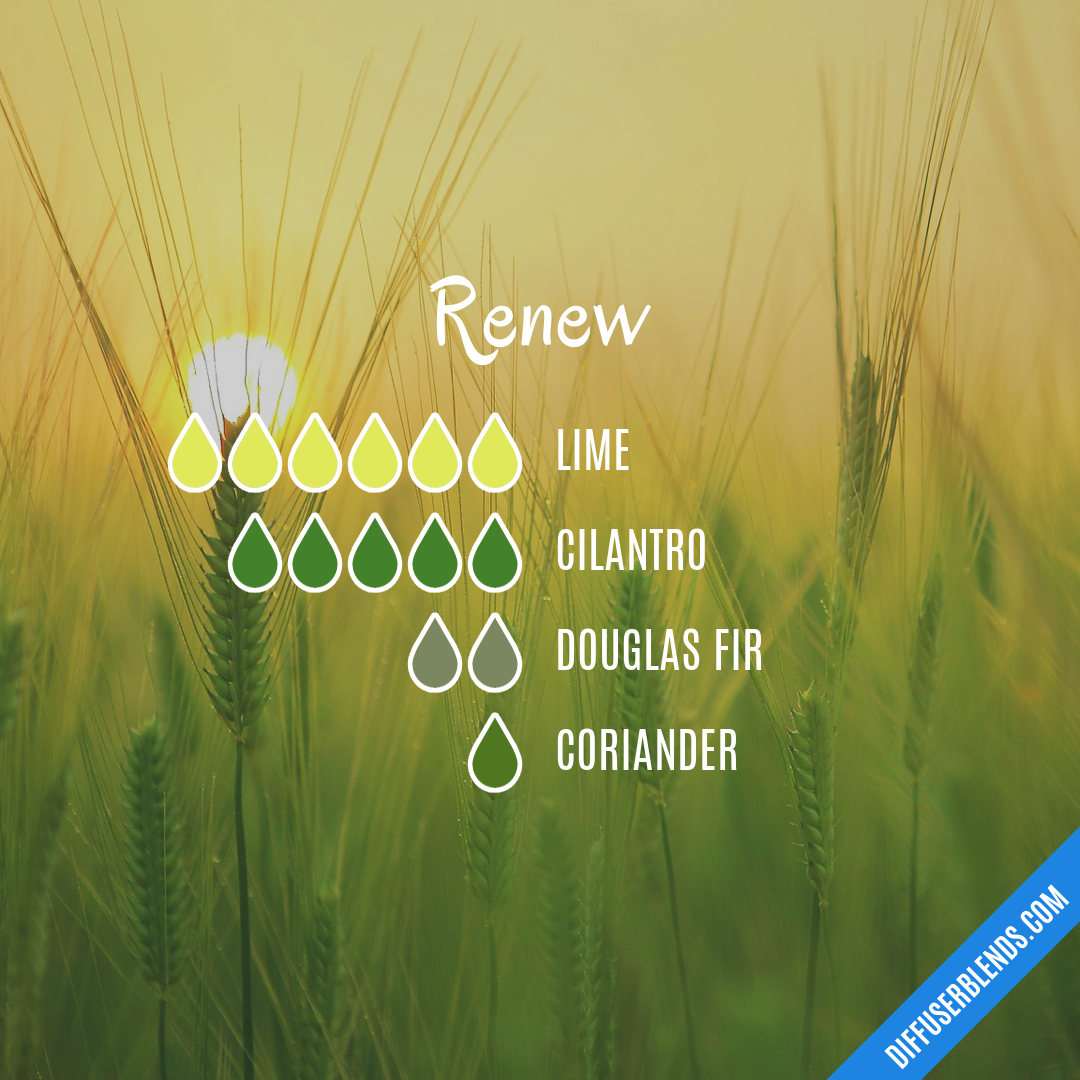 Renew | DiffuserBlends.com