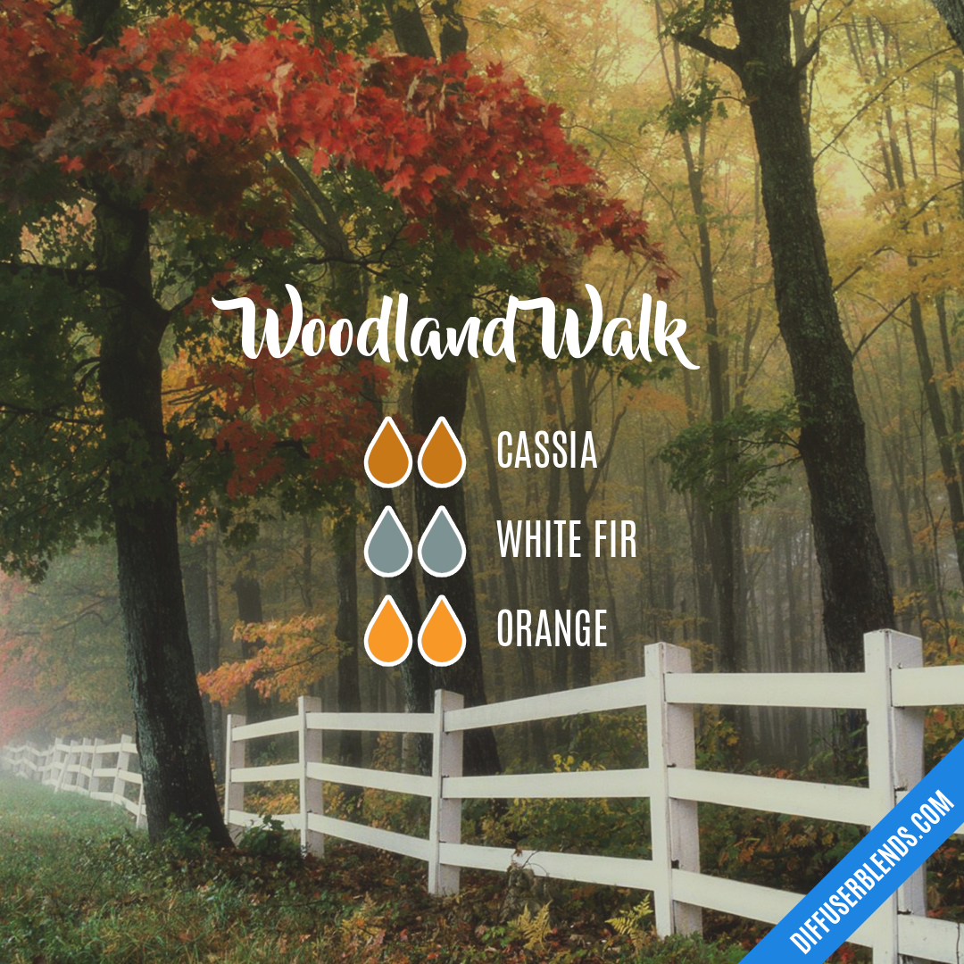 Woodland Walk | DiffuserBlends.com