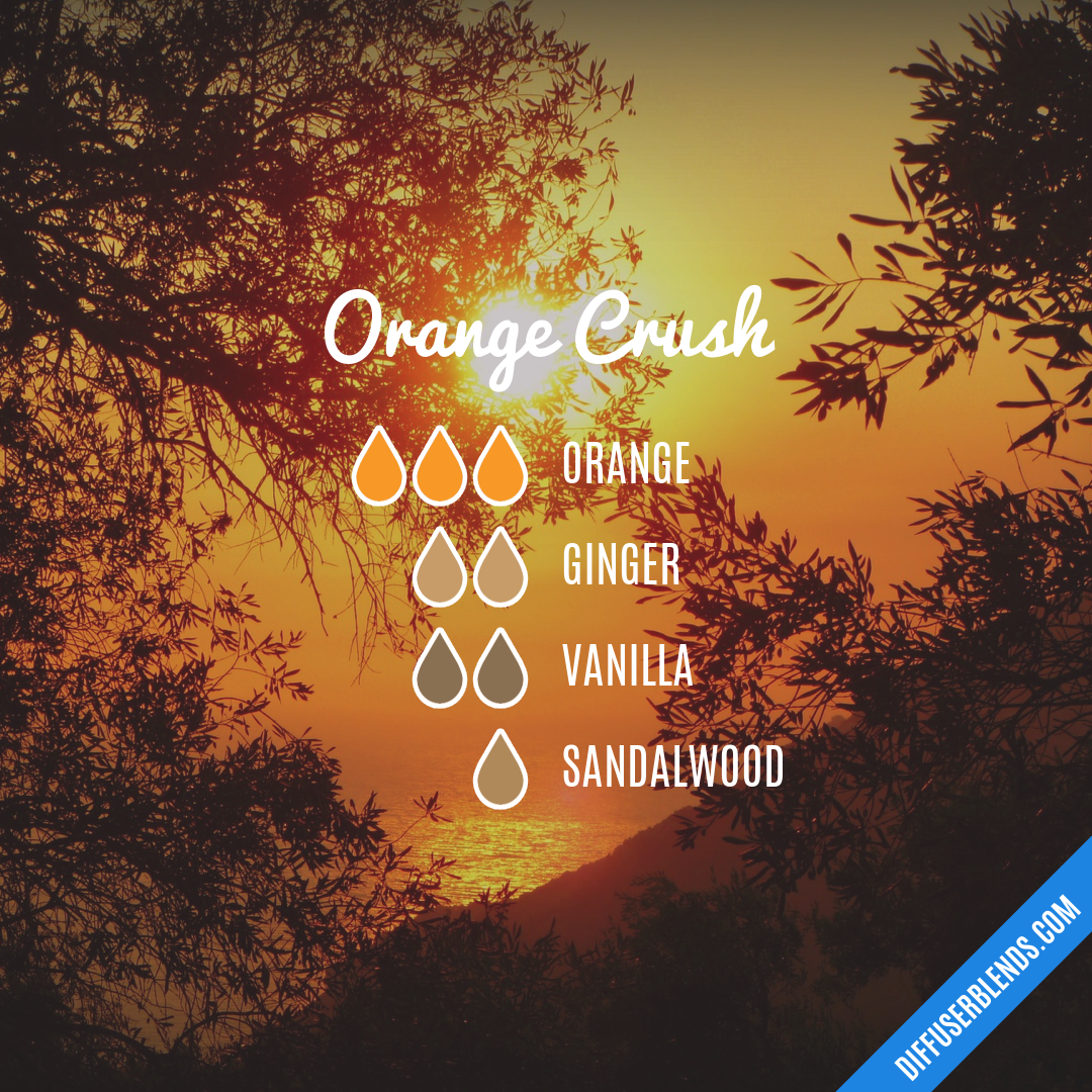 Orange Crush | DiffuserBlends.com