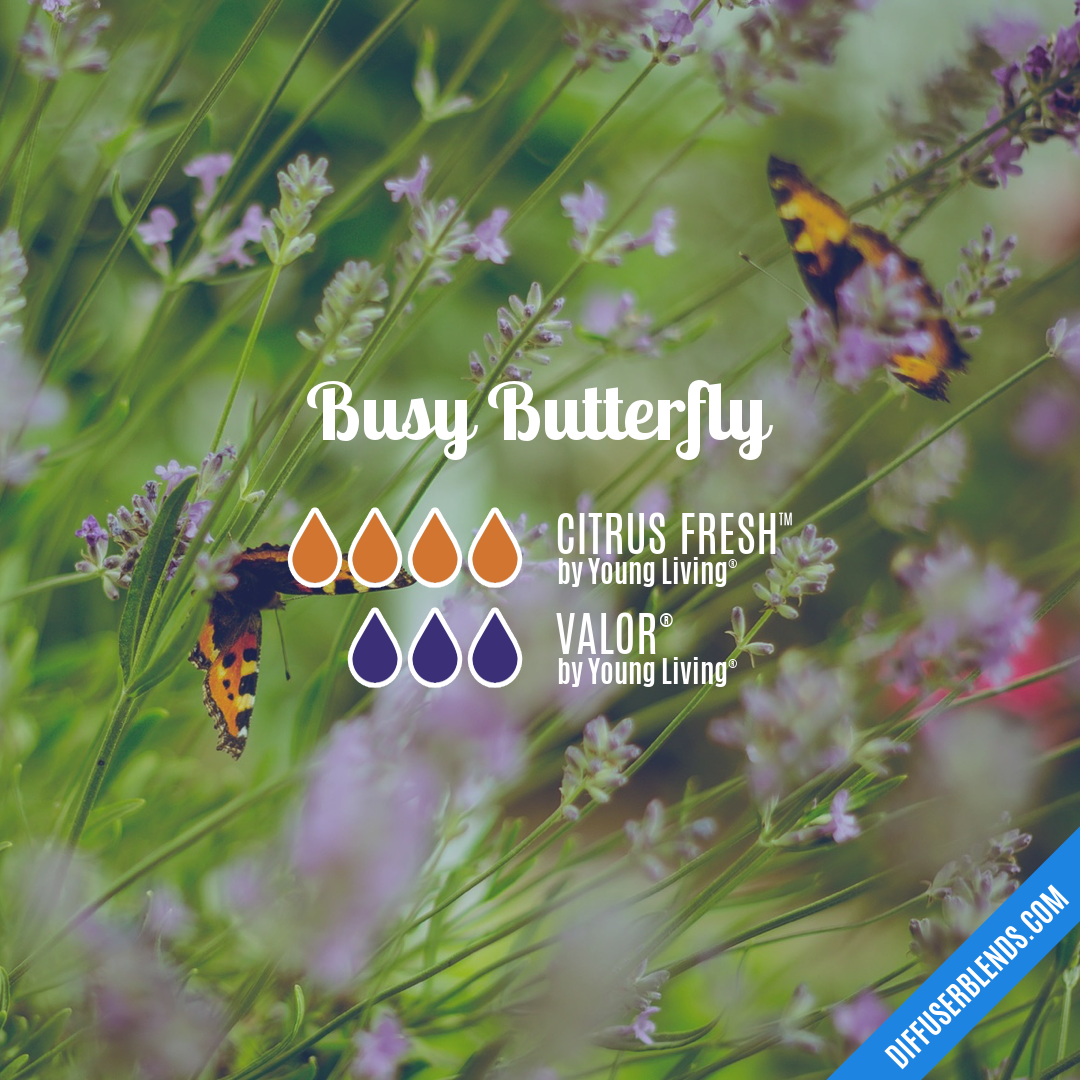 Busy Butterfly | DiffuserBlends.com