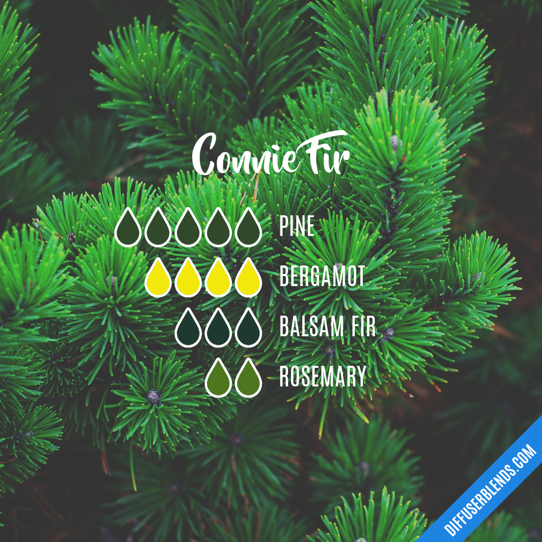 Connie Fir | DiffuserBlends.com
