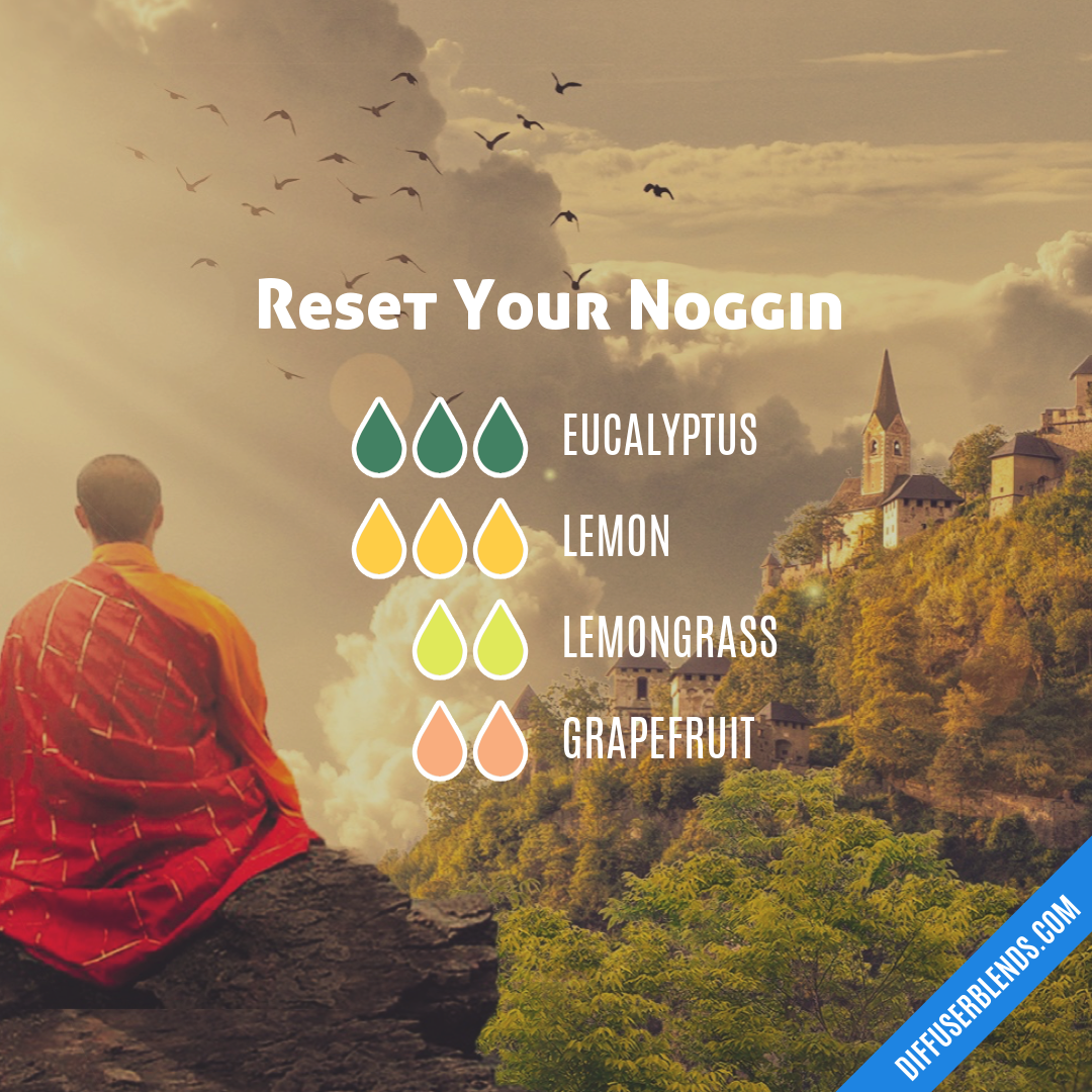 Reset Your Noggin | DiffuserBlends.com