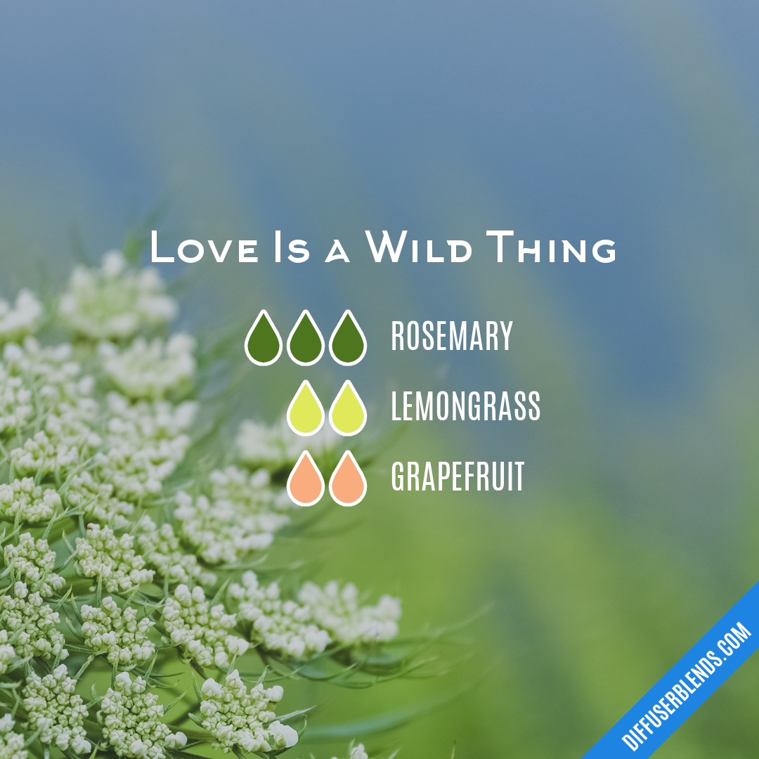 Love Is a Wild Thing | DiffuserBlends.com