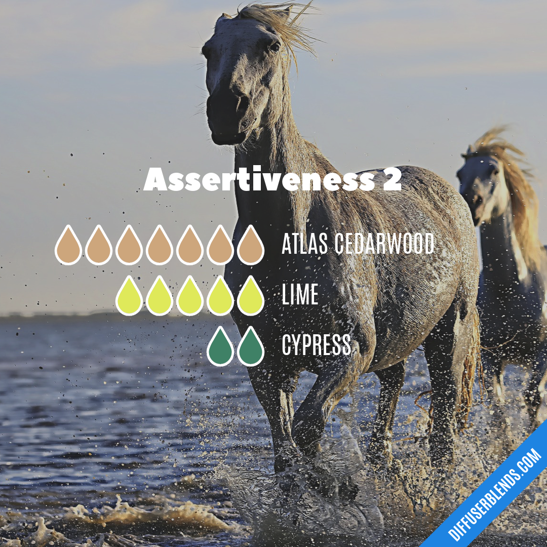 Assertiveness 2 | DiffuserBlends.com