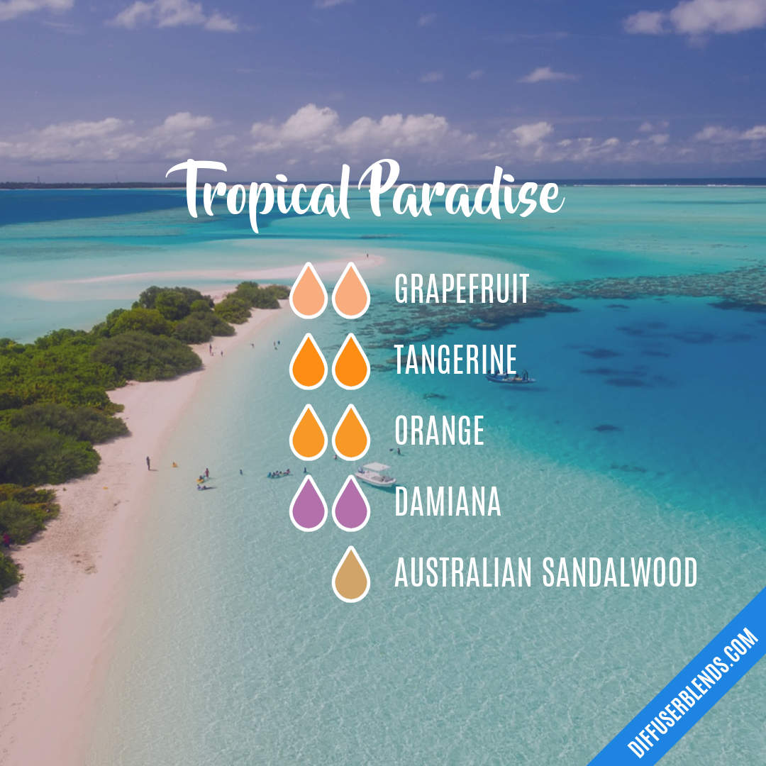Tropical Paradise | DiffuserBlends.com