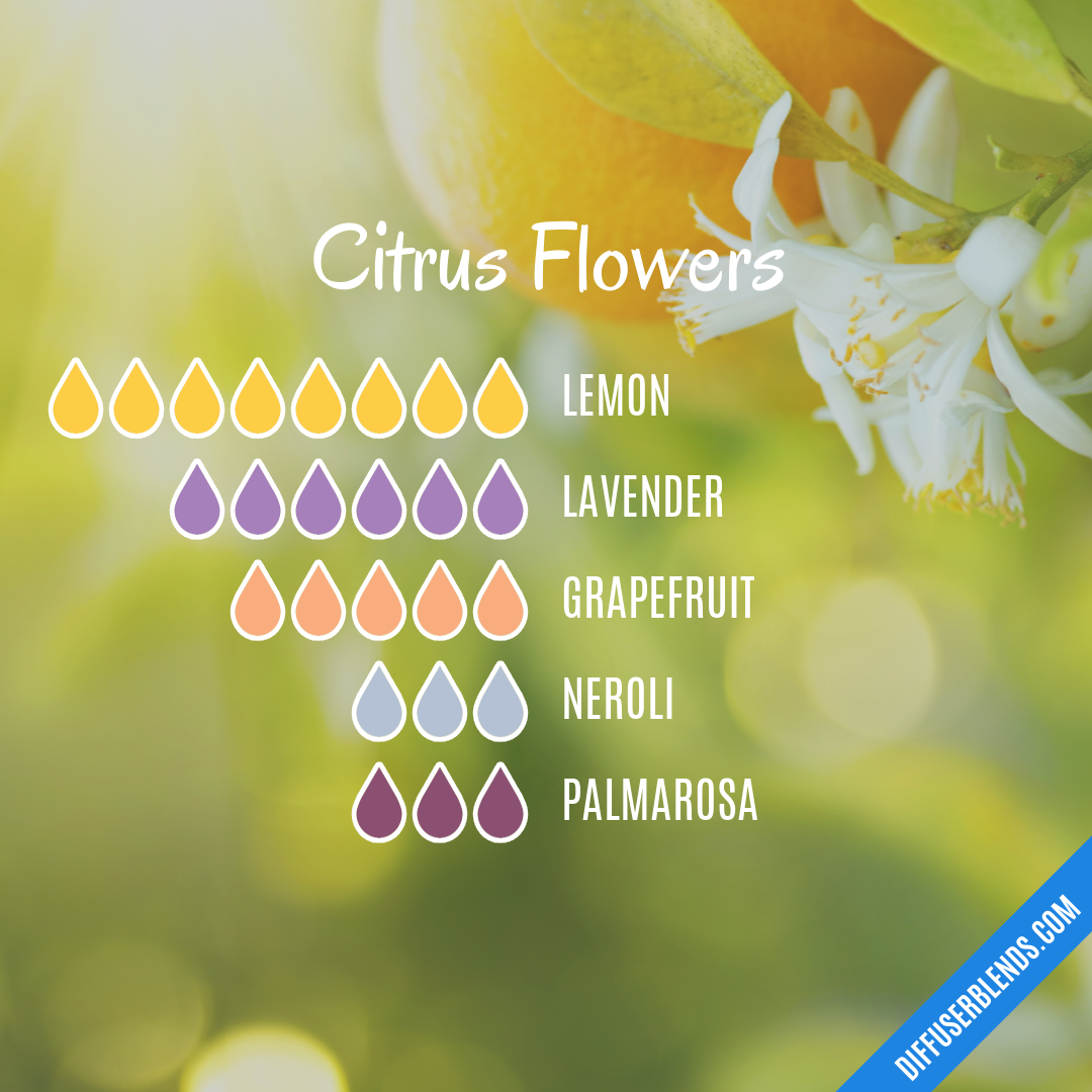 Citrus Flowers | DiffuserBlends.com