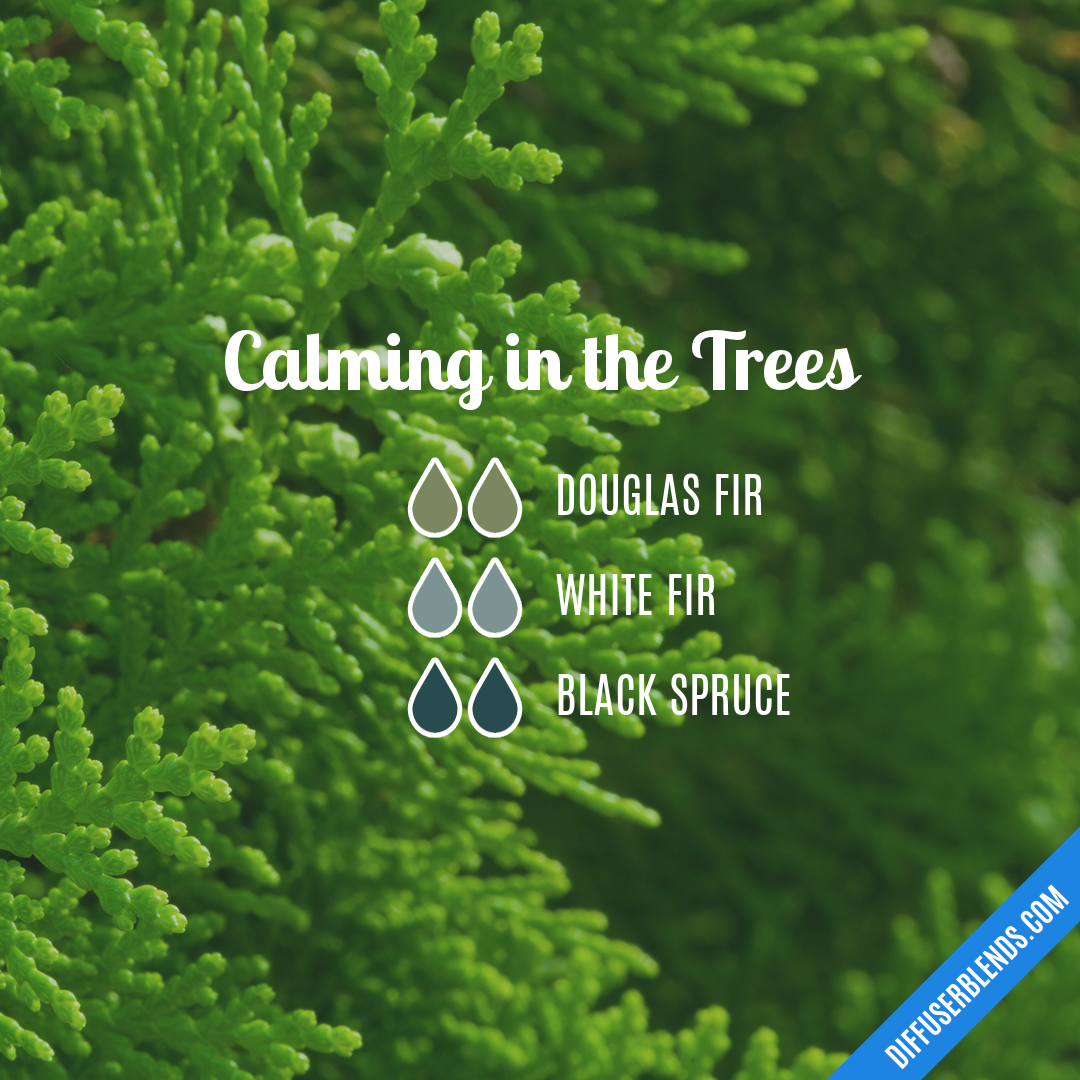 Calming in the Trees | DiffuserBlends.com