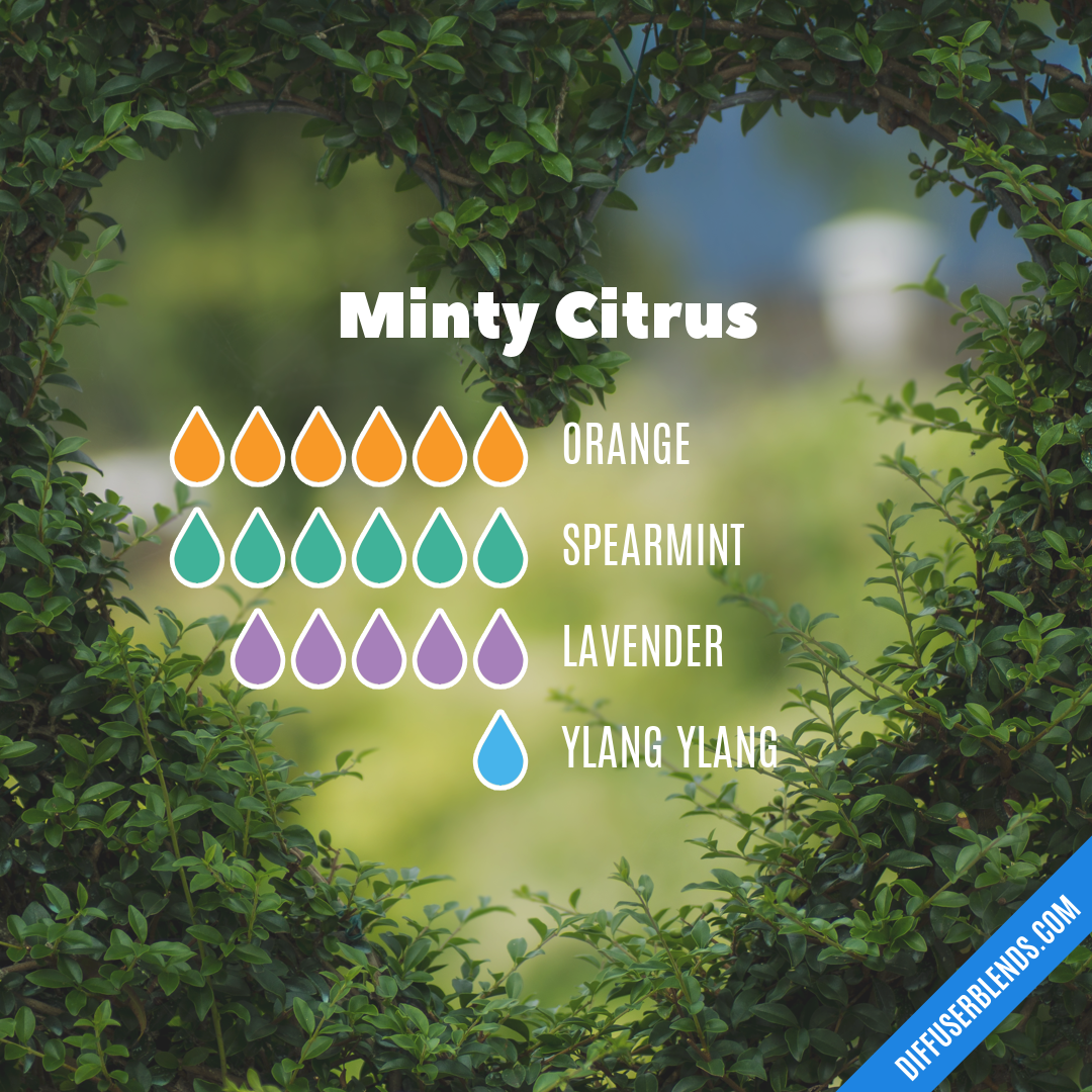 Minty Citrus | DiffuserBlends.com