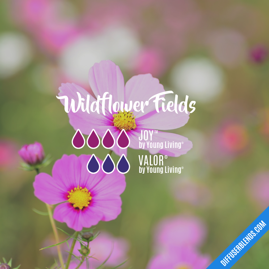 Wildflower Fields | DiffuserBlends.com