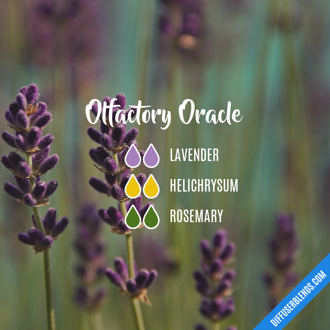 Olfactory Oracle | DiffuserBlends.com