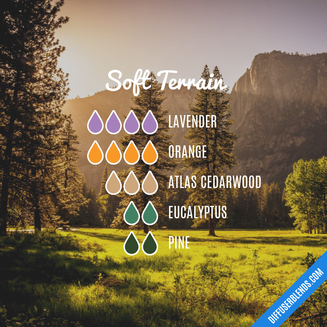 Soft Terrain | DiffuserBlends.com