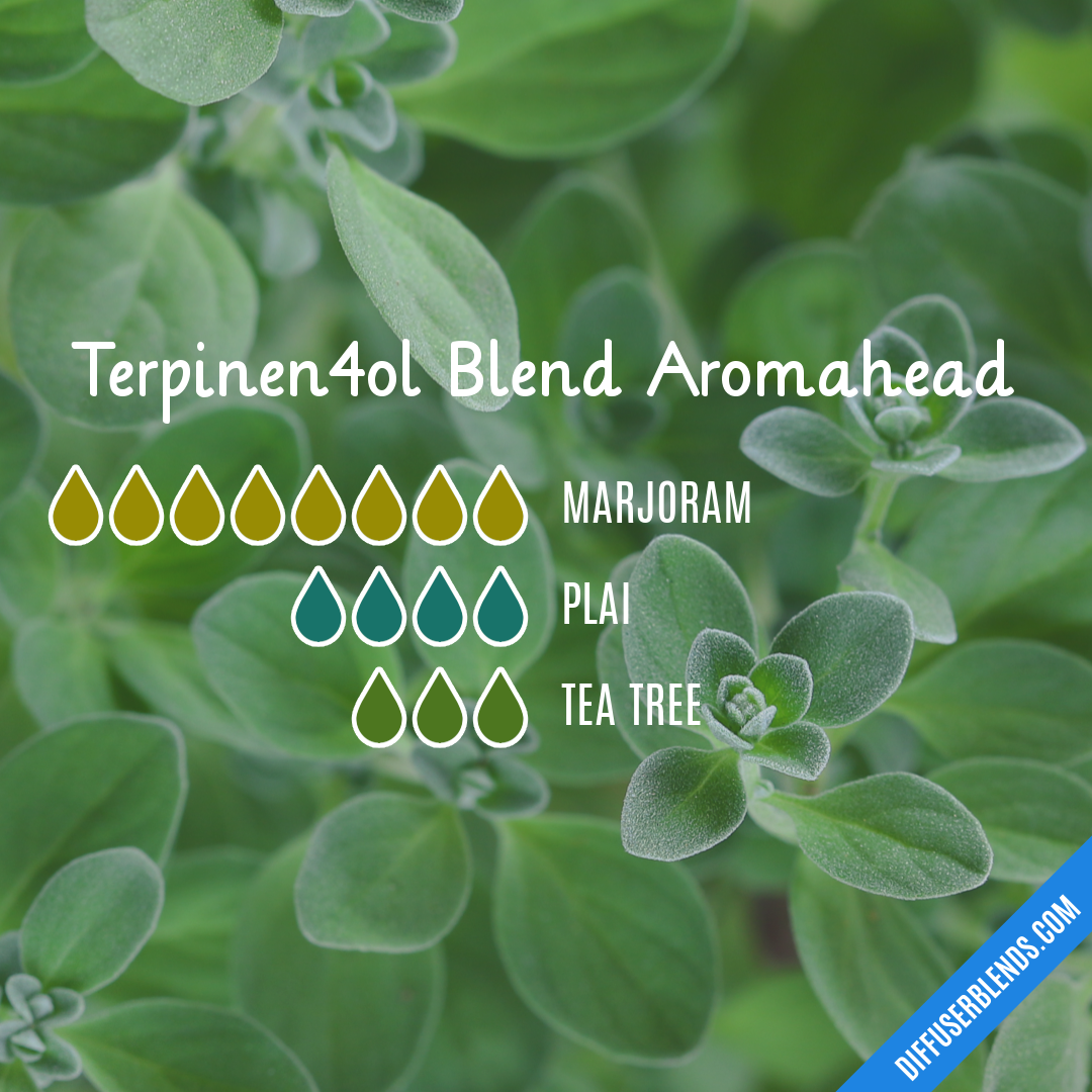 Terpinen4ol Blend Aromahead | DiffuserBlends.com