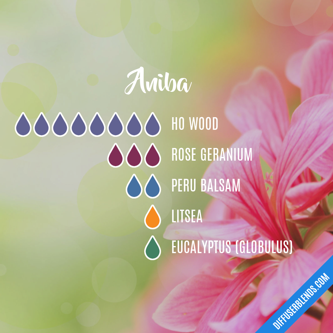 Aniba | DiffuserBlends.com