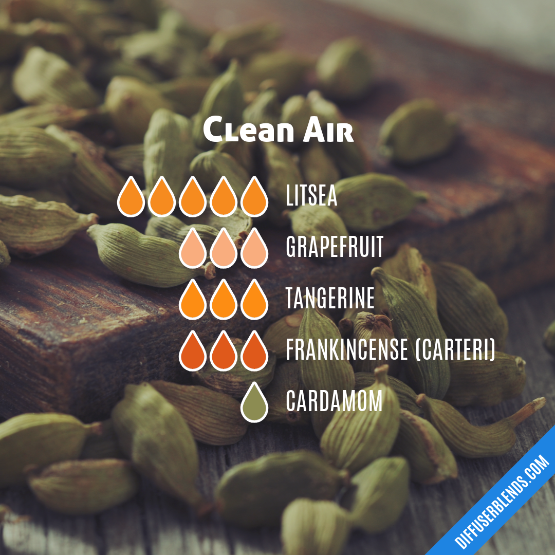 Clean Air | DiffuserBlends.com