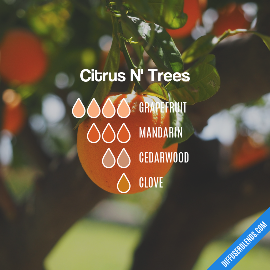 Citrus N' Trees | DiffuserBlends.com
