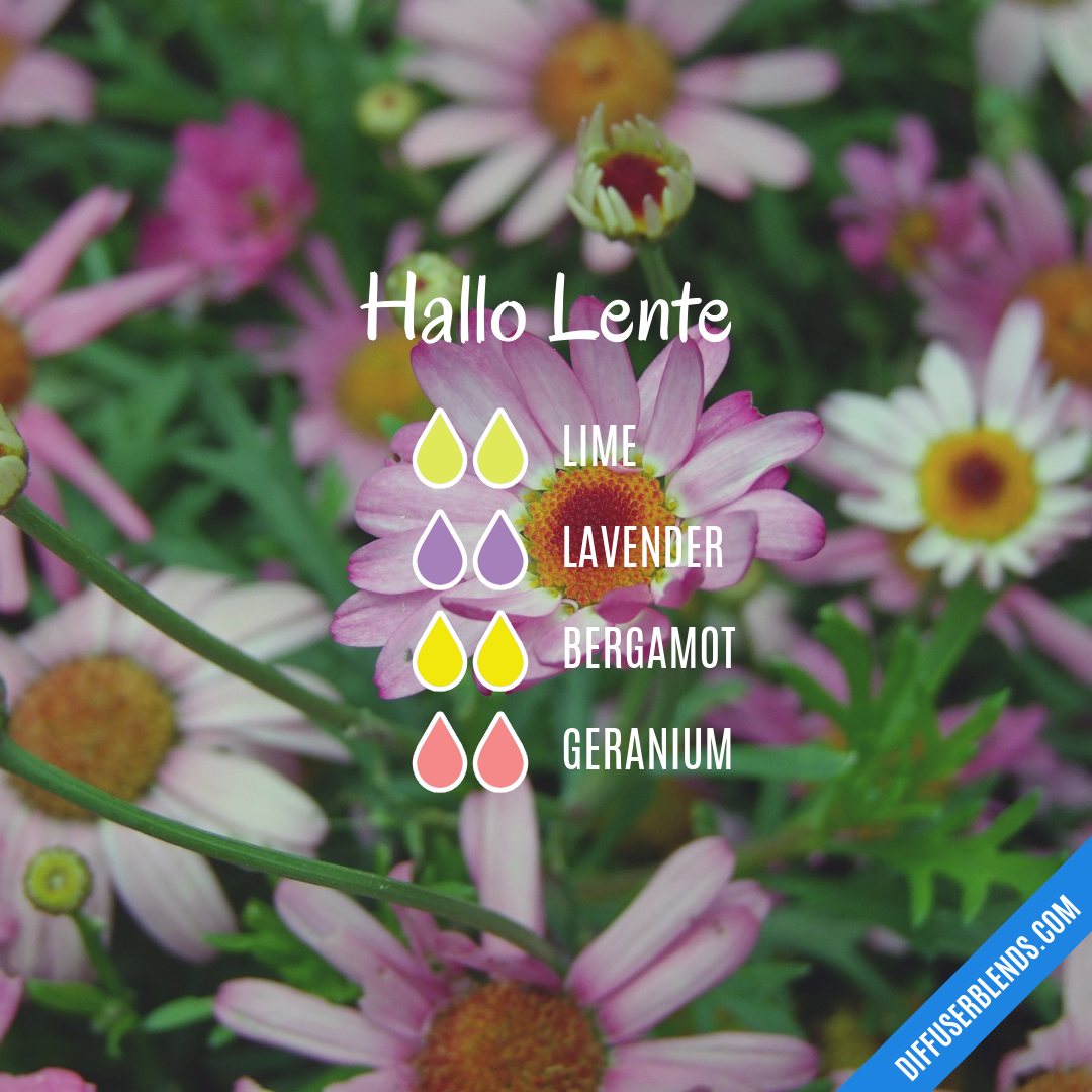 Hallo Lente | DiffuserBlends.com