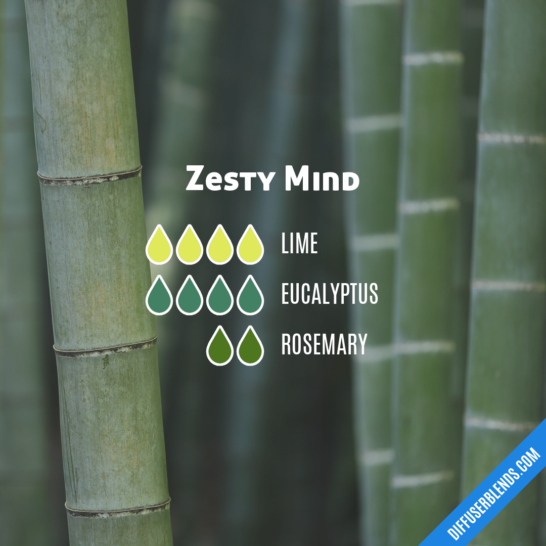 Zesty Mind | DiffuserBlends.com