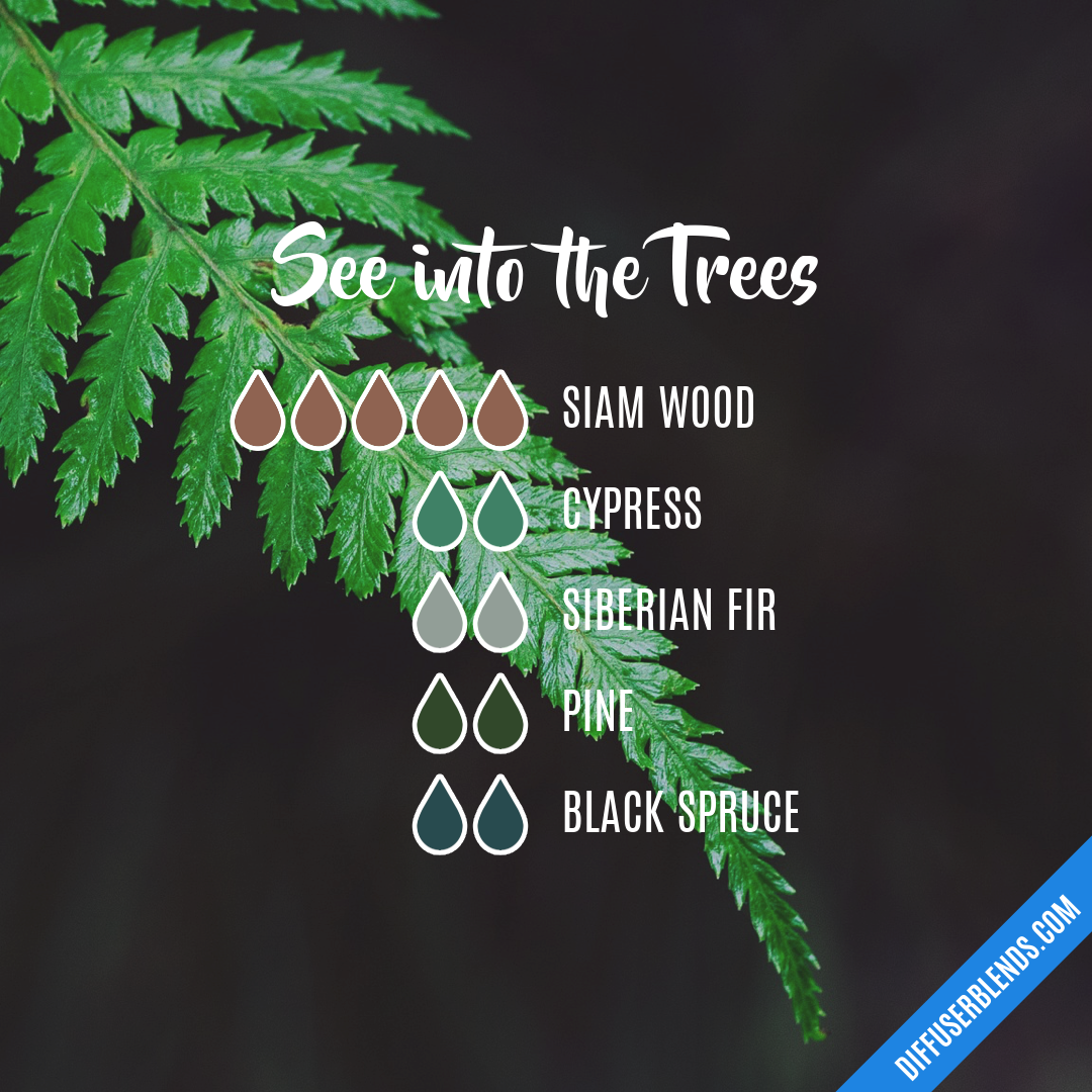 See into the Trees | DiffuserBlends.com