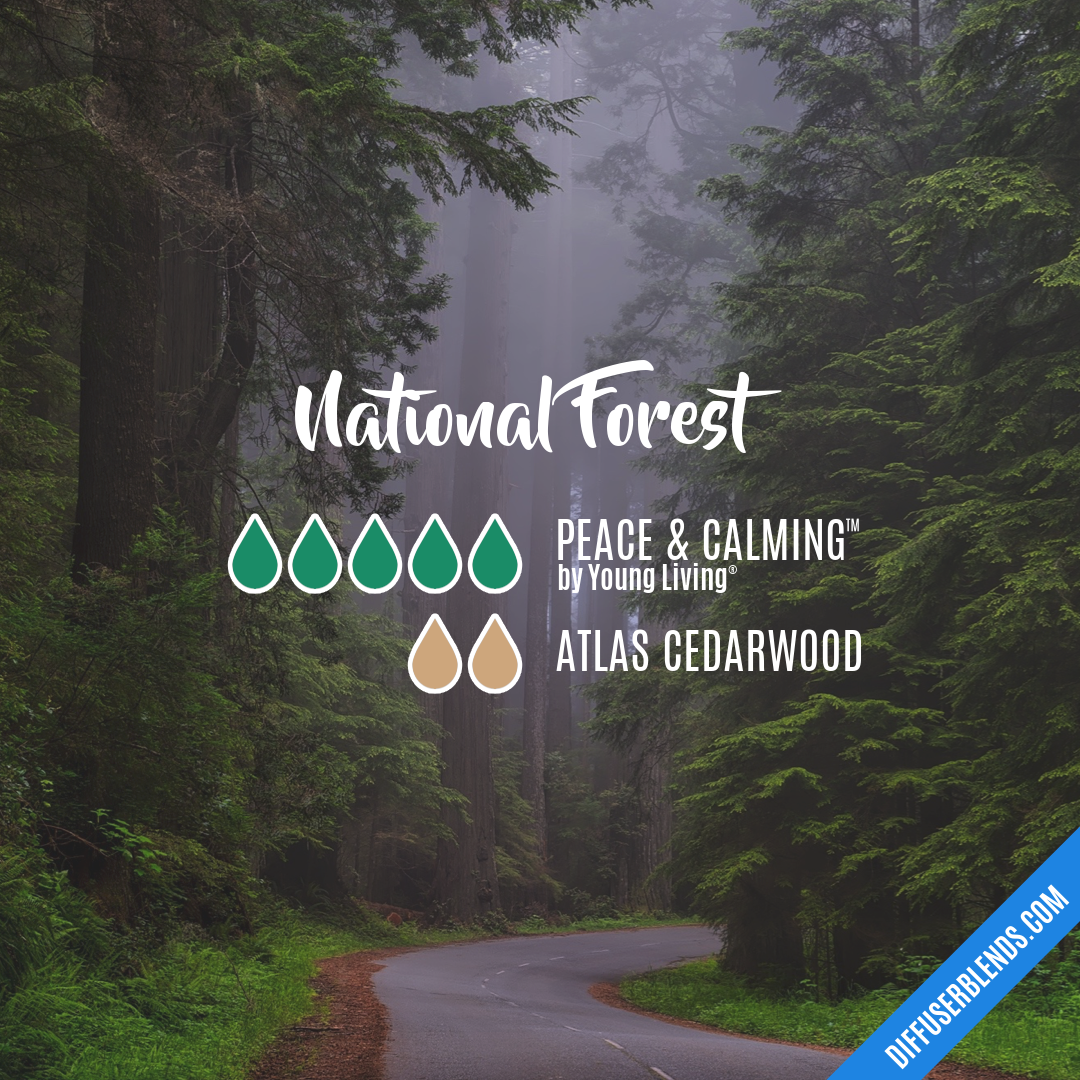 National Forest | DiffuserBlends.com