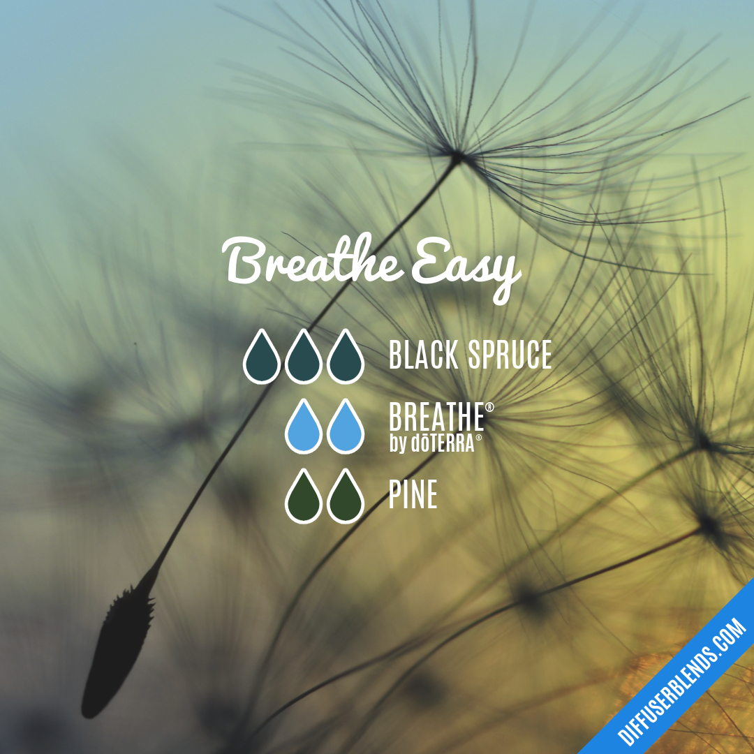 Breathe Easy | DiffuserBlends.com