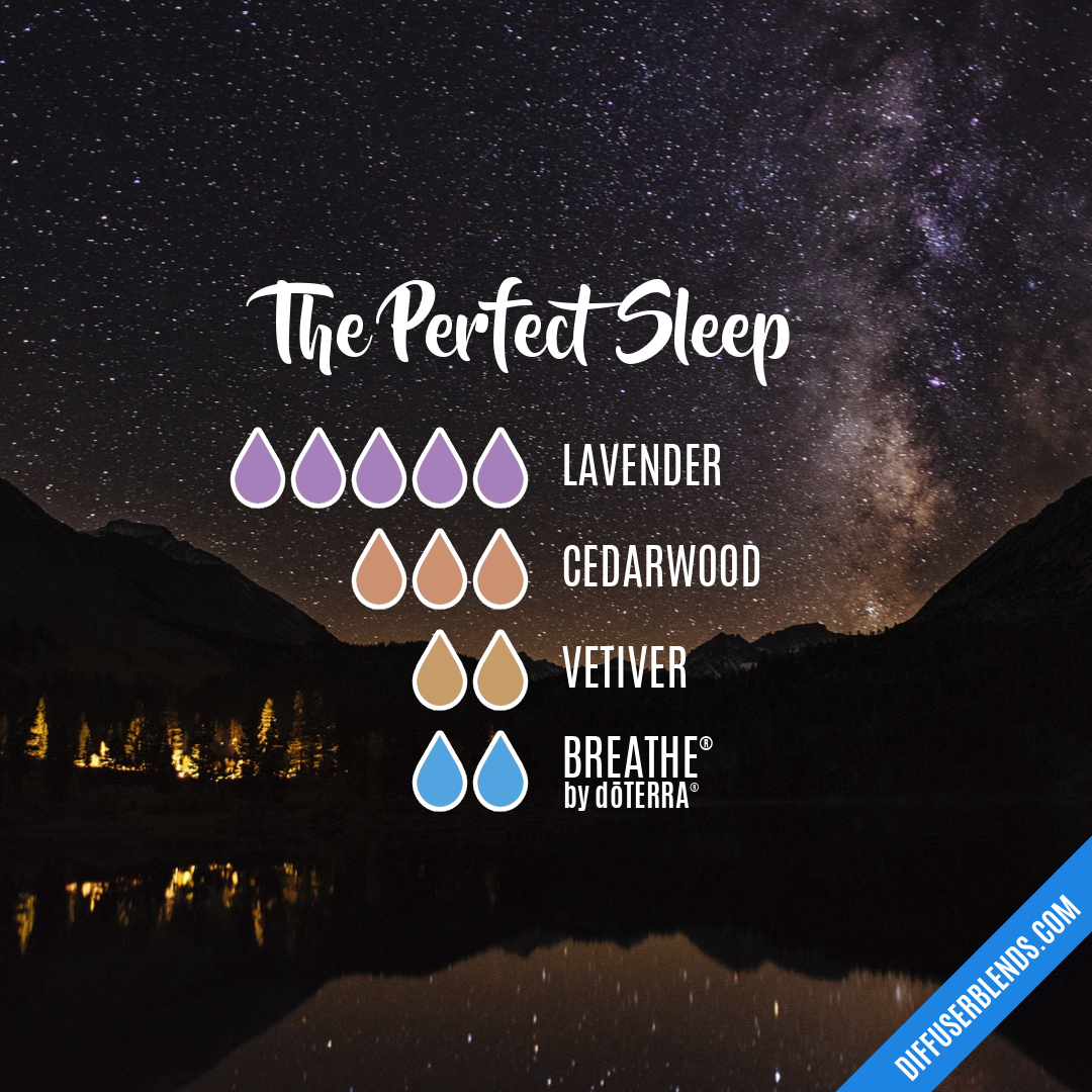 The Perfect Sleep | DiffuserBlends.com