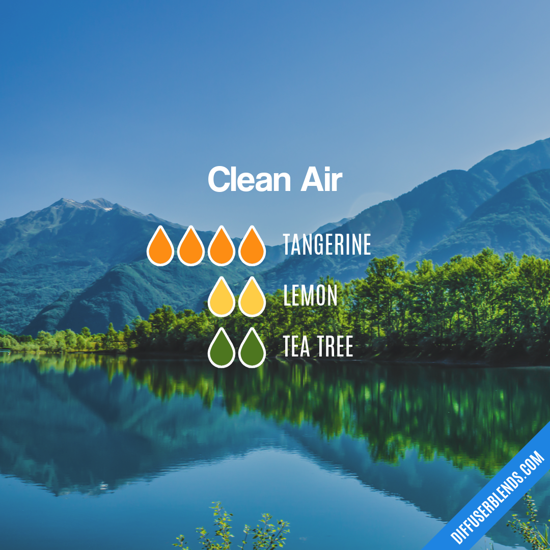 Clean Air | DiffuserBlends.com