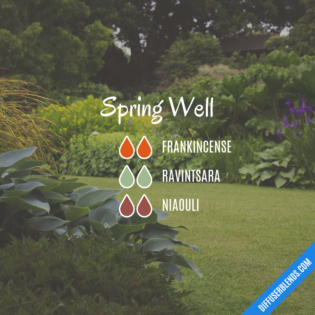 Spring Well | DiffuserBlends.com