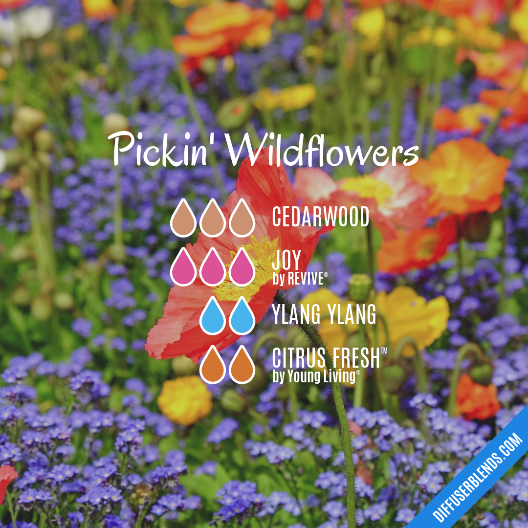 Pickin' Wildflowers | DiffuserBlends.com
