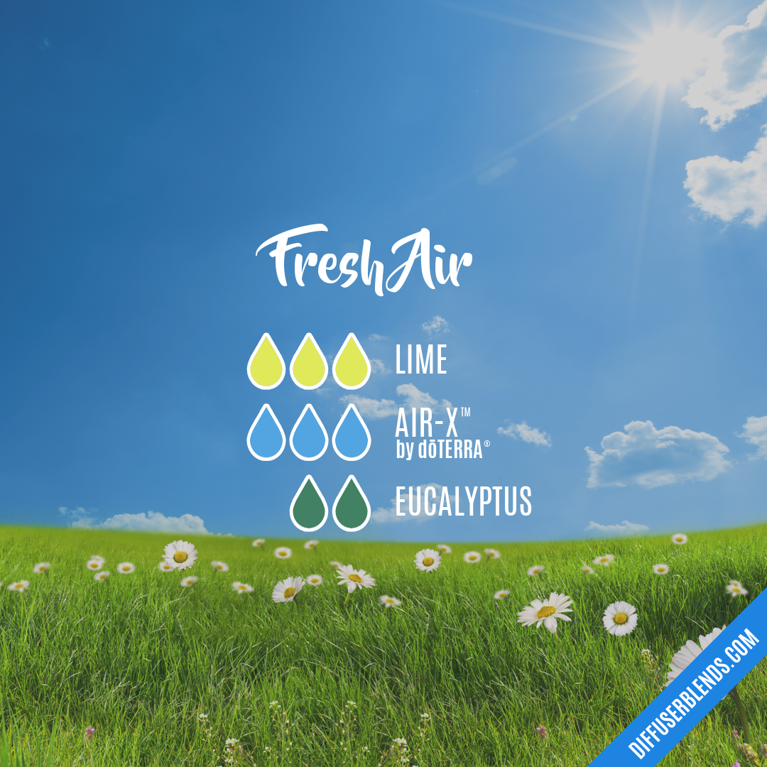 Fresh Air | DiffuserBlends.com