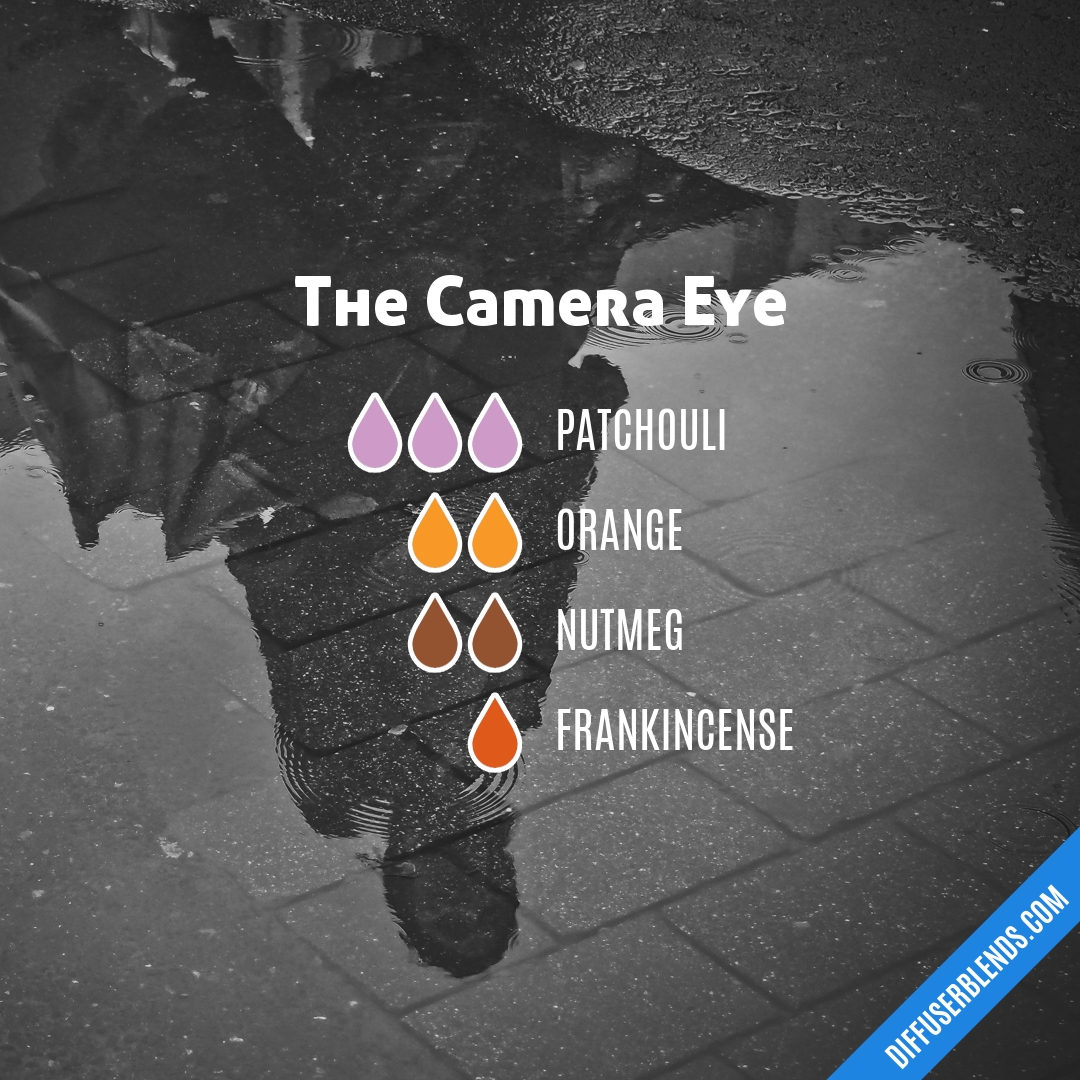 The Camera Eye | DiffuserBlends.com