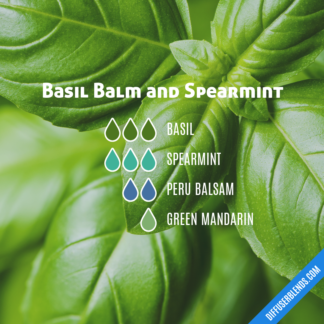 Basil Balm and Spearmint | DiffuserBlends.com