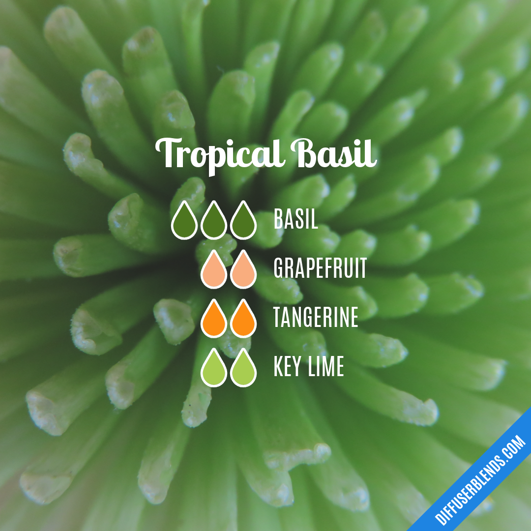 Tropical Basil | DiffuserBlends.com