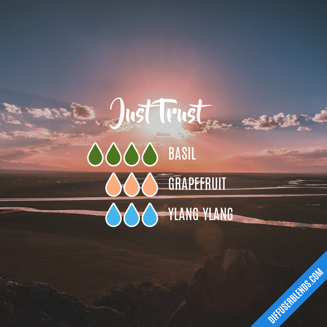 Just Trust | DiffuserBlends.com
