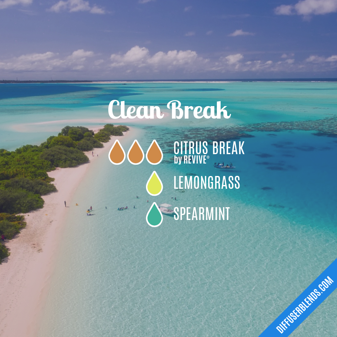 Clean Break | DiffuserBlends.com