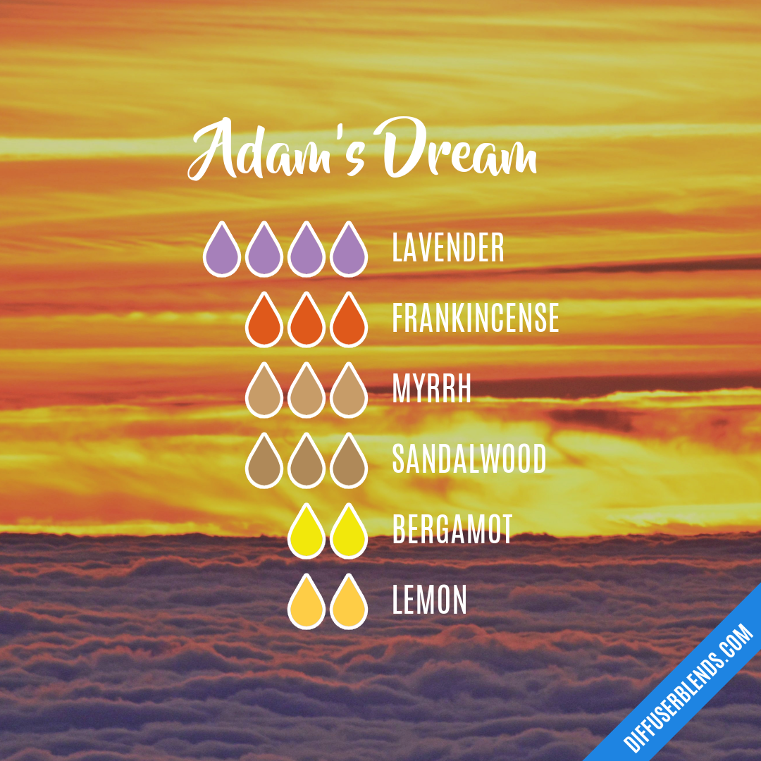 Adam's Dream | DiffuserBlends.com