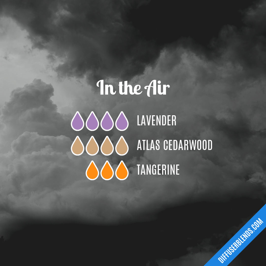 In the Air | DiffuserBlends.com